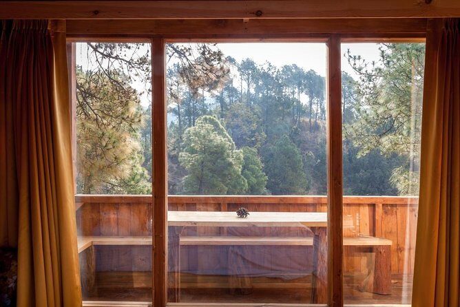 Shimla Treehouse Stay - Final Thoughts