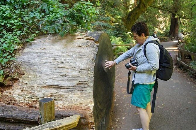 Shore Excursion: Guided Tour to Muir Woods with Roundtrip Journey - An In-Depth Look at the Tour Itinerary