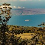 Shore Excursion: Haleakala Sunrise Tour for Pride of America Passengers - Transportation and Logistics