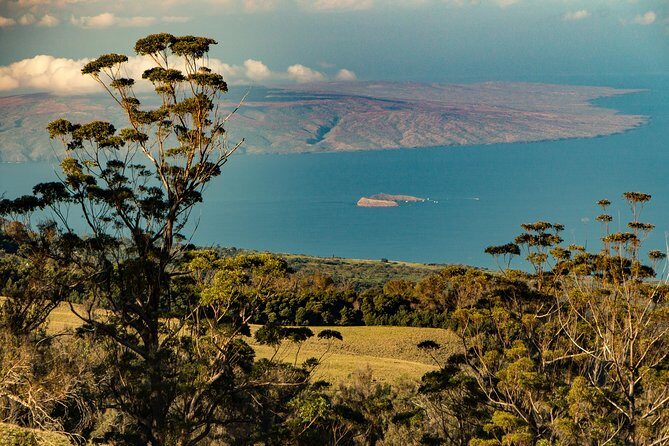 Shore Excursion: Haleakala Sunrise Tour for Pride of America Passengers - Transportation and Logistics