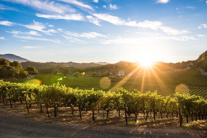 Shore Excursion in SFO - Enchanted Napa & Sonoma Wine Tour in SUV - What the Reviews Say