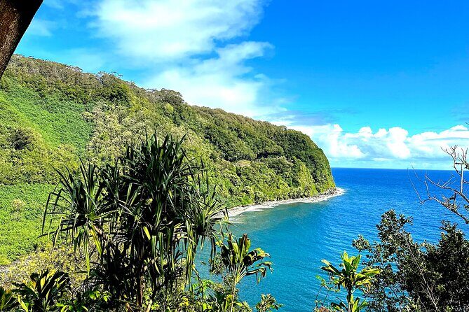Shore Excursion of Maui - Iconic Stops Along the Road to Hana