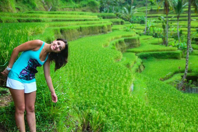 Shore Excursion : Private Tours To Ubud Art village And Surrounding Area - What to Expect on This Bali Day Trip
