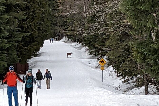 Shuttle to Snoqualmie Pass Ski and Snowboard - Additional Considerations