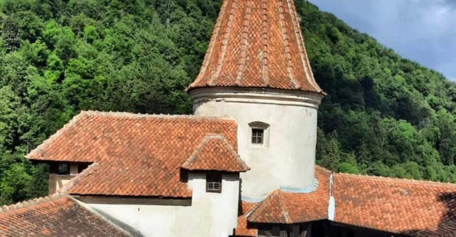 Sibiu: Dracula's Castle and Dino Park Day Trip - An In-Depth Look at the Tour Experience