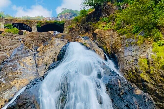 SIC Dudhsagar Waterfall and Spice Plantation Day Tour - Exploring the SIC Dudhsagar Waterfall & Spice Plantation Day Tour: A Practical Guide