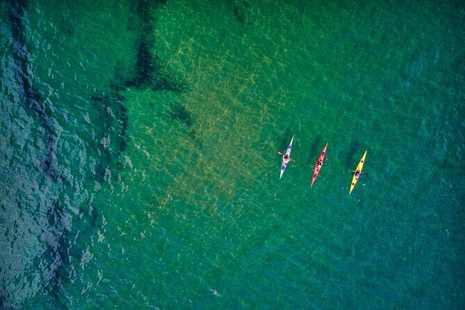 Sick Day Midweek Kayak Tour on Tomales Bay - What’s Included and How It Works