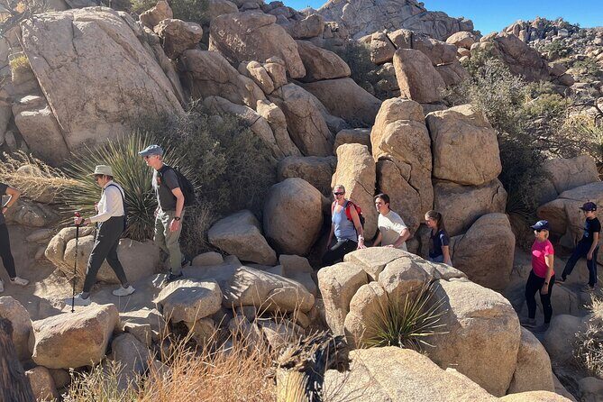 Sightseeing Adventure Tour of Joshua Tree National Park - What’s Included and What’s Not