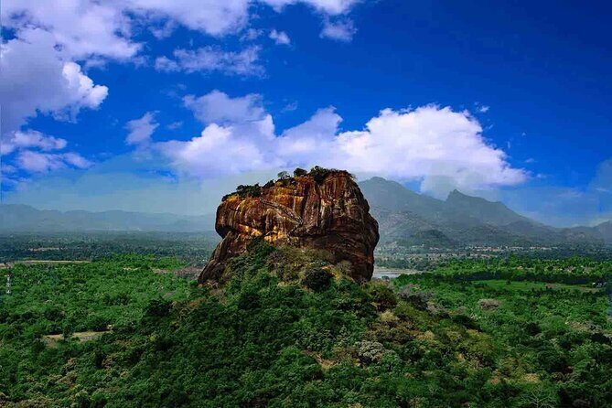 Sigiriya & Minneriya Safari Tour from Dambulla - Why This Tour Offers Great Value