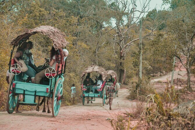 Sigiriya Rock and Village Tour from Colombo - What Travelers Say