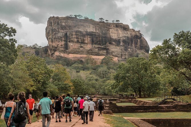 Sigiriya Rock and Village Tour from Mount Lavinia - Birdwatching at Habarana Lake: A Peaceful Interlude