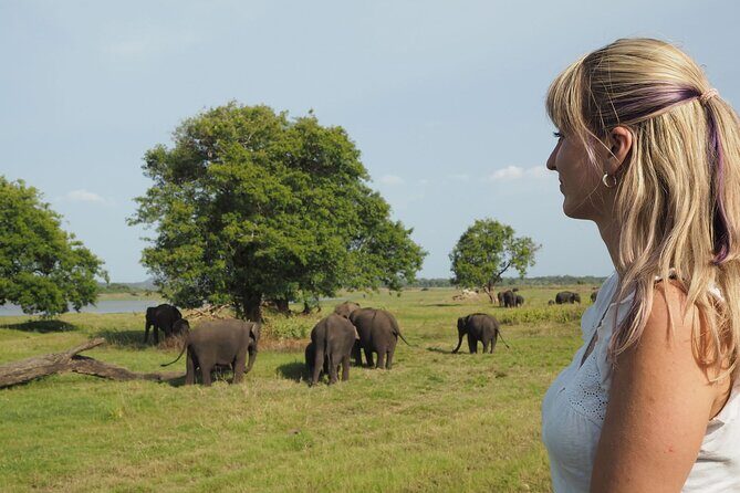 Sigiriya Rock and Wild Elephant Safari from Polonnaruwa - What’s Included and What’s Not
