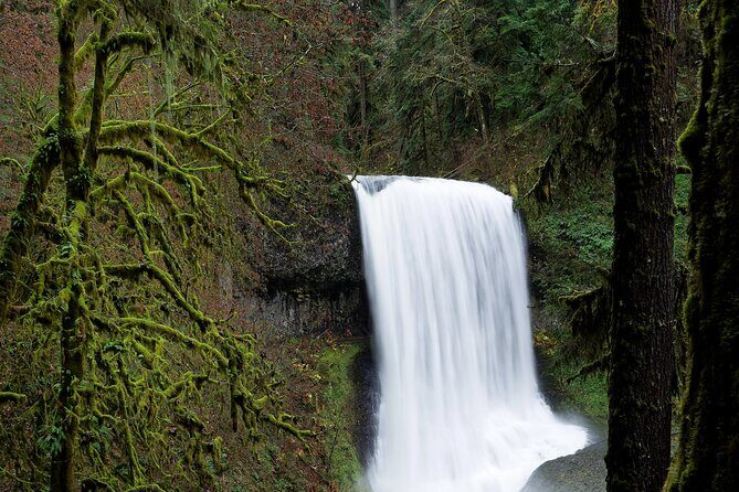Silver Falls Private Hike Tour - Transportation and Practical Details