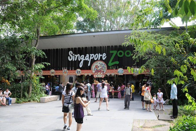 Singapore Bird Paradise & Zoo Full Day (Ticket & Transfer ) - Practical Details & What to Expect