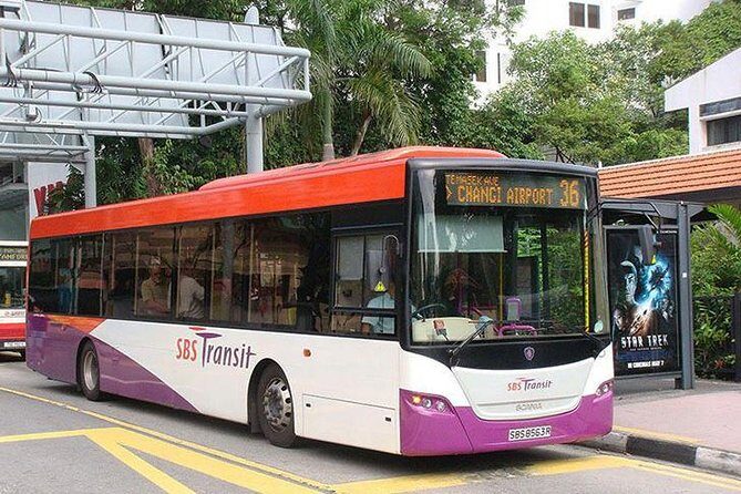 Singapore Ez-link Card (SG Airport Pickup) - Authentic Perspectives from Users