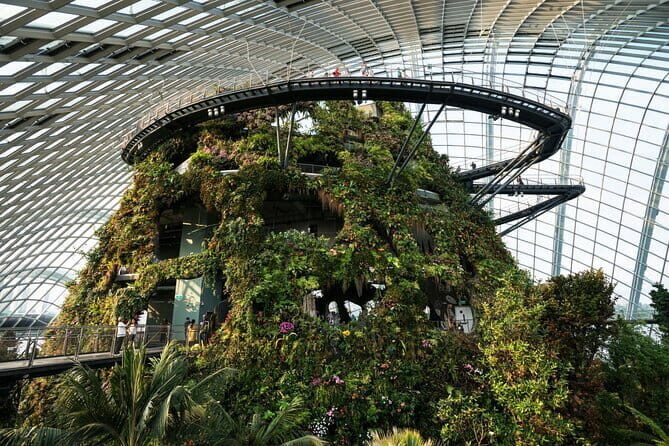 Singapore Gardens by the Bay with Flower Dome and Cloud Forest - What Reviewers Say