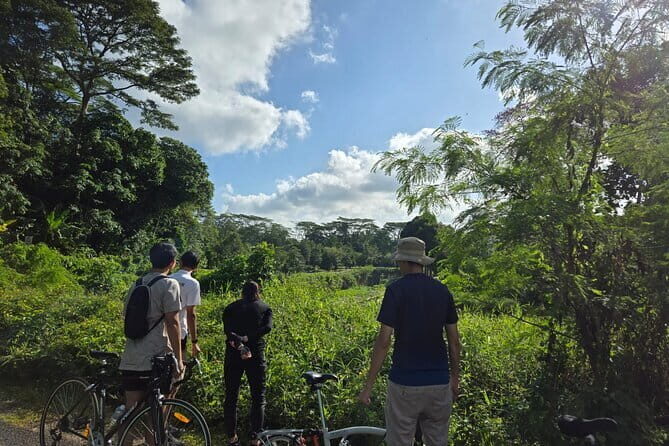 Singapore Private Brompton Bike City Tour - The Practical Aspects