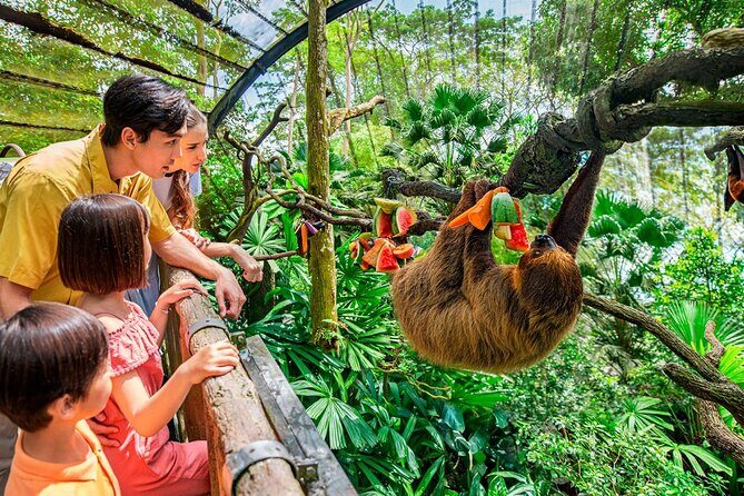 Singapore Zoo - Who Should Consider This Tour?