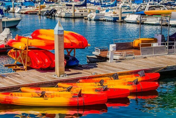 Single Kayak Rental in Mission Bay - What to Expect from Your Kayaking Adventure