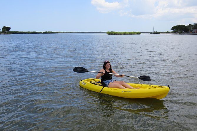 Single Kayak Rental to Explore the backwaters of Rose Bay - An Overview of the Experience