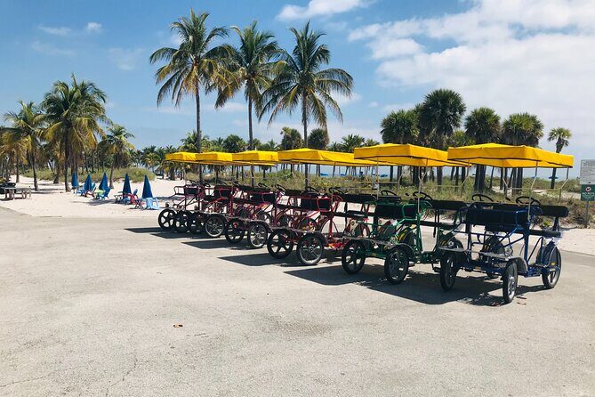 Single Quadricycle Rental at Crandon Park - Who Should Consider This?