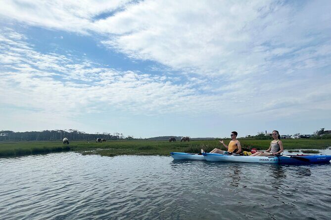 Single Sit on Top Kayak Rental at Assateague Island, MD - A Clear View of the Experience