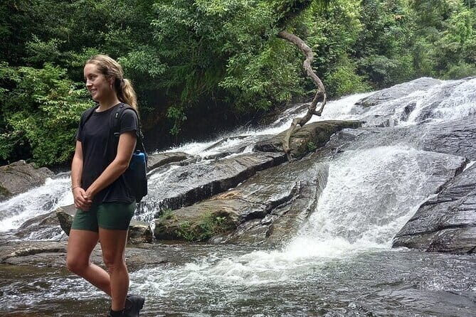 Sinharaja Rain Forest and Tea Factory Day Tour - Detailed Breakdown: Why This Tour Offers Good Value