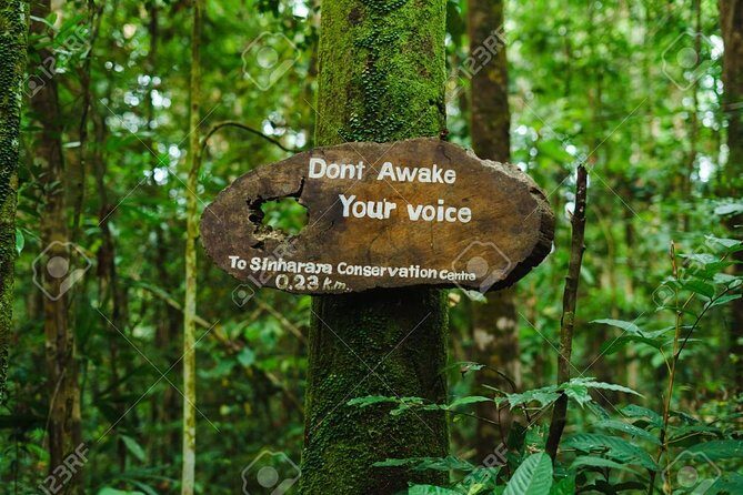 Sinharaja Rain Forest Guided Day Tour From Colombo and Negombo - Exploring the Itinerary in Detail