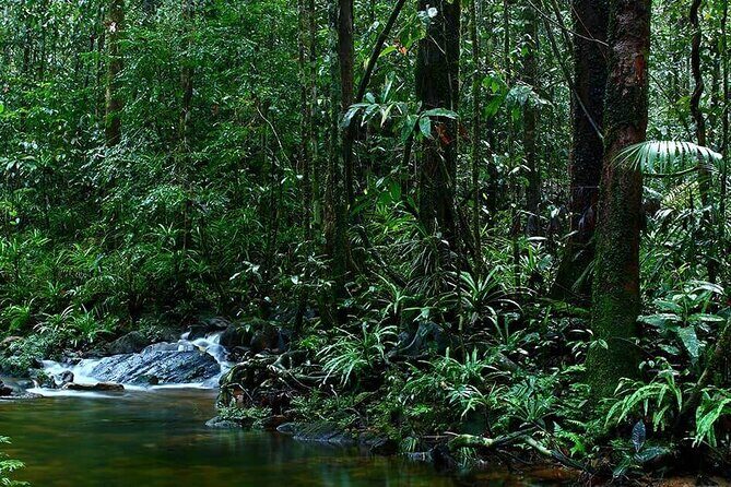 Sinharaja Rain Forest Guided Day Tour - The Sum Up