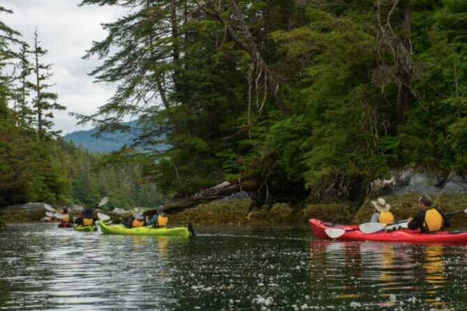 Sitka Shore Excursion: Sitka Harbor & Islands Guided Kayaking - The Experience in Practice: A Balanced View