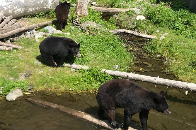 Sitka's only Private Simply Amazing Tour - Authentic Experience and Genuine Reviews