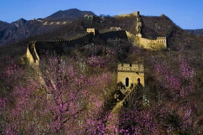 Six Days Highlight Tour from Beijing to Kunming by High-speed Train - Price and Value