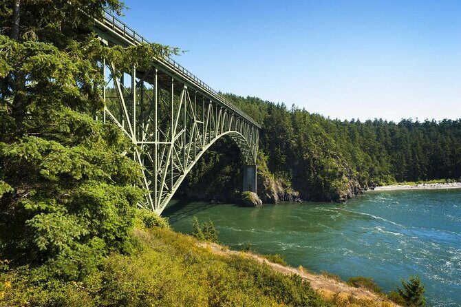 Skagit Valley Birding + Deception Pass Day Tour From Seattle - Final Thoughts: Is It Worth It?