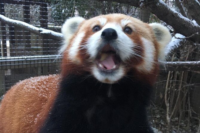Skip the Line: Miller Park Zoo General Admission Ticket - The Bottom Line