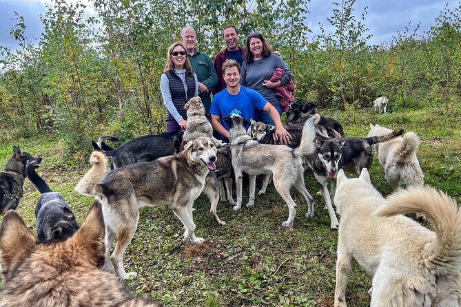 Sled Dog Kennel Tour - Who Should Consider This Tour?