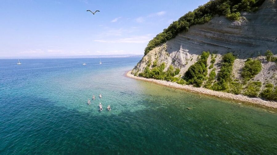 Slovene Littoral: Slovenia Coast Stand-Up Paddleboard Rental - The Highlights of the Coast to Explore