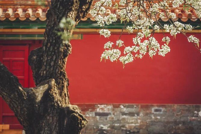 Small Group Beijing Layover Tour to Mutianyu Great Wall and Forbidden City - What Past Travelers Say