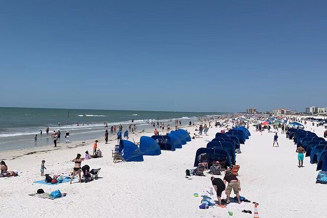 Small Group Clearwater Beach, Dolphin Watch Day Tour from Orlando - Frequently Asked Questions