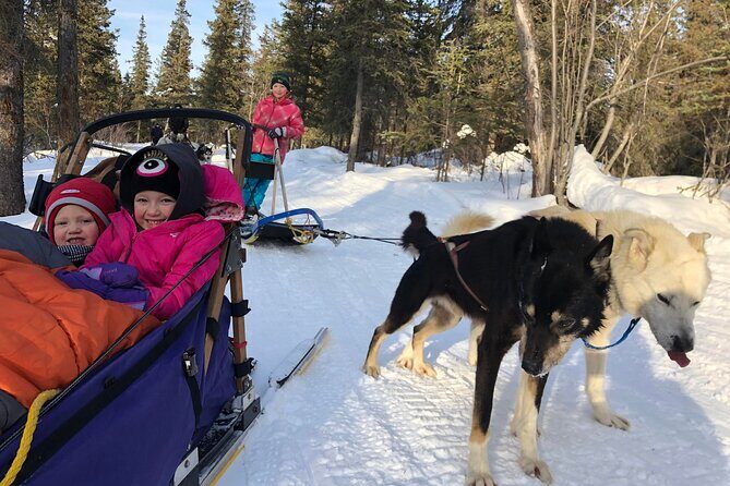 Small-Group Dog Sledding Experience in Sterling - The Itinerary: What Should You Expect?