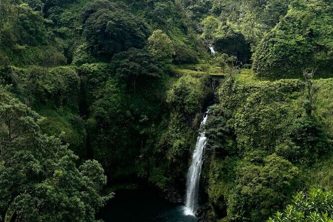 Small Group Full Day Road to Hana Adventure - Who Will Love This Tour?