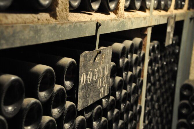 Small-Group Full-Day Tour of Côte de Nuits, Côte de Beaune Vineyards and Beaune Historical District - Final Thoughts