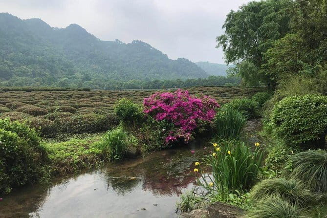 Small group: Hangzhou Full-day Classic Tour with Bullet Train from/to Shanghai - Practical Details & Considerations