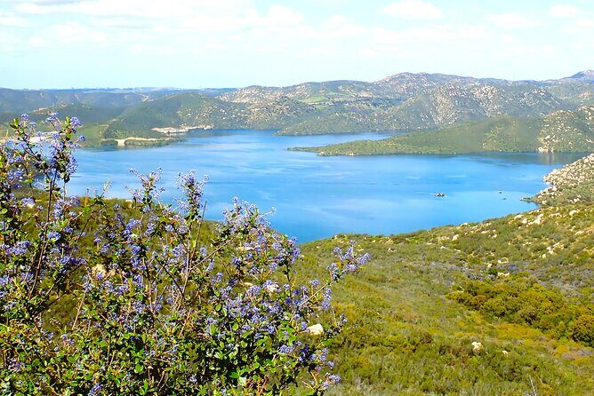 Small Group Hike Through San Diego's Heart and Soul - What You’ll Learn Along the Way