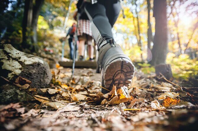 Small Group Hiking Around The Pinecrest Lake Trail - Breaking Down the Itinerary
