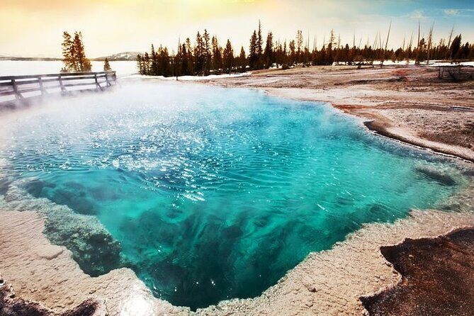 Small Group In-Depth Yellowstone&Grand Teton 5-Day w/2NightCabins - What Makes This Tour Stand Out