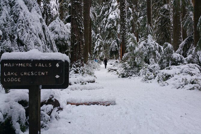 Small Group Olympic National Park Day Tour from Seattle 2CanGo - Transportation, Value, and Practical Details