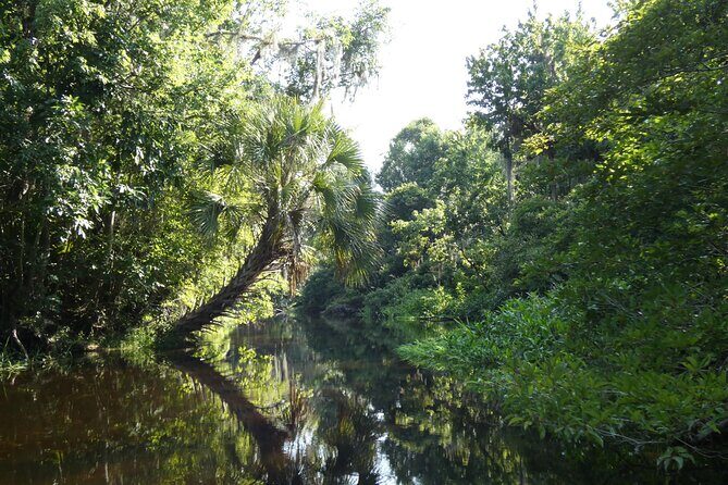 Small Group Scenic Wekiva River Kayak Tour near Orlando - A Closer Look at the Itinerary
