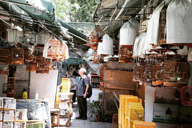 Small-Group Tour: Hong Kong Local Markets Hopper [PROMOTION] - What the Tour Means for You