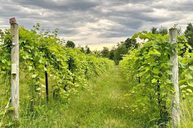 Small Group Wine & Cider Tour in Vermont - Analyzing the Value