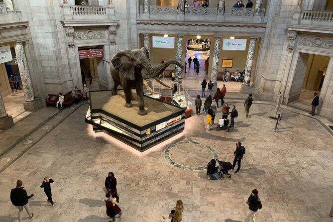 Smithsonian National Museum of Natural History with Guided Tour - A Closer Look at the Experience